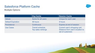Maximize Apex Performance with Platform Cache | PDF