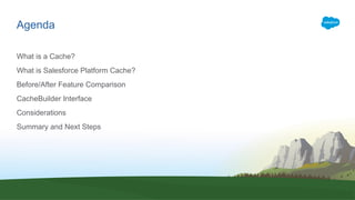 Maximize Apex Performance with Platform Cache | PDF