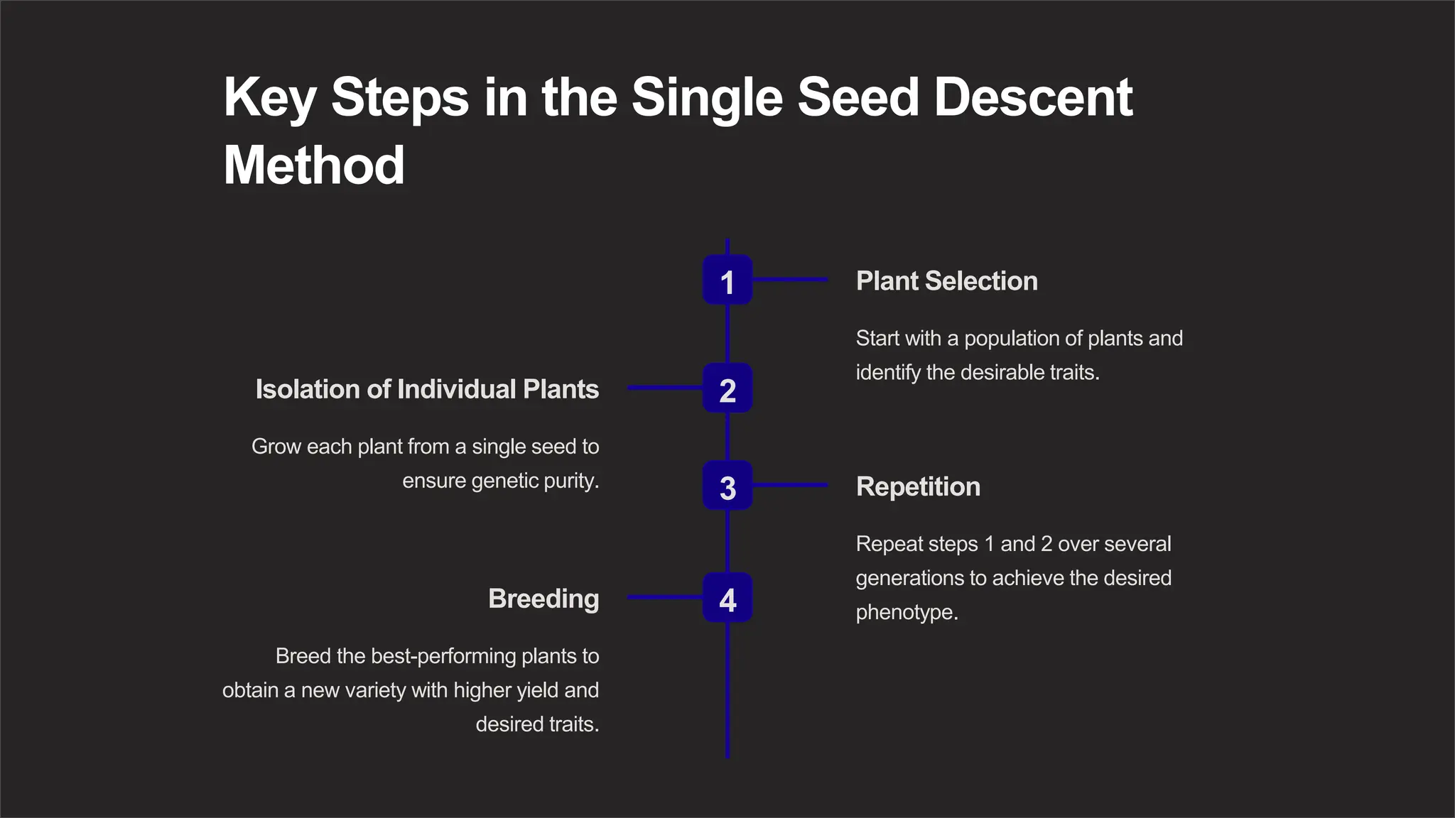 Maximizing-Crop-Yield-with-the-Single-Seed-Descent-Method (1).pptx