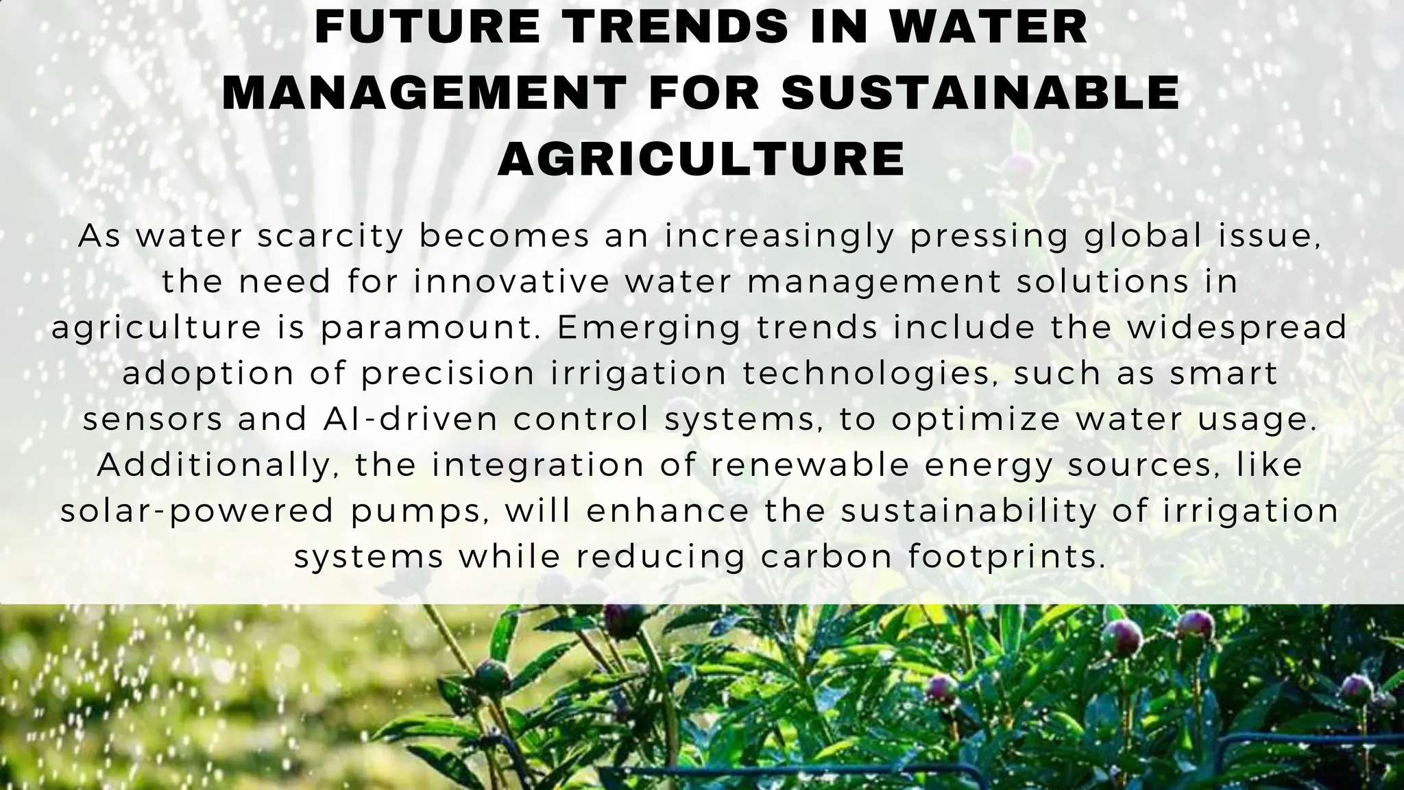 Maximizing Efficiency with Integrated Water Management Systems | PPT