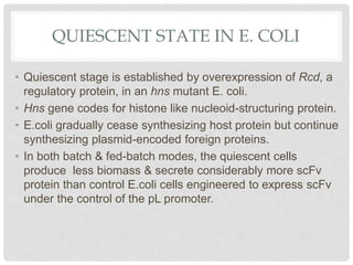 Maximizing the efficiency of fermentation process | PPTX