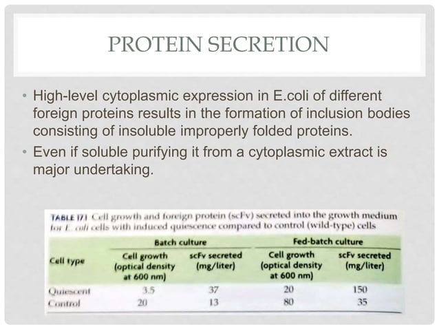 Maximizing the efficiency of fermentation process | PPTX | Biotech and Biomedical Industry ...