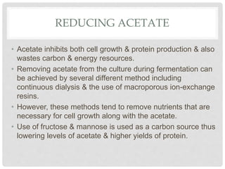 Maximizing the efficiency of fermentation process | PPTX