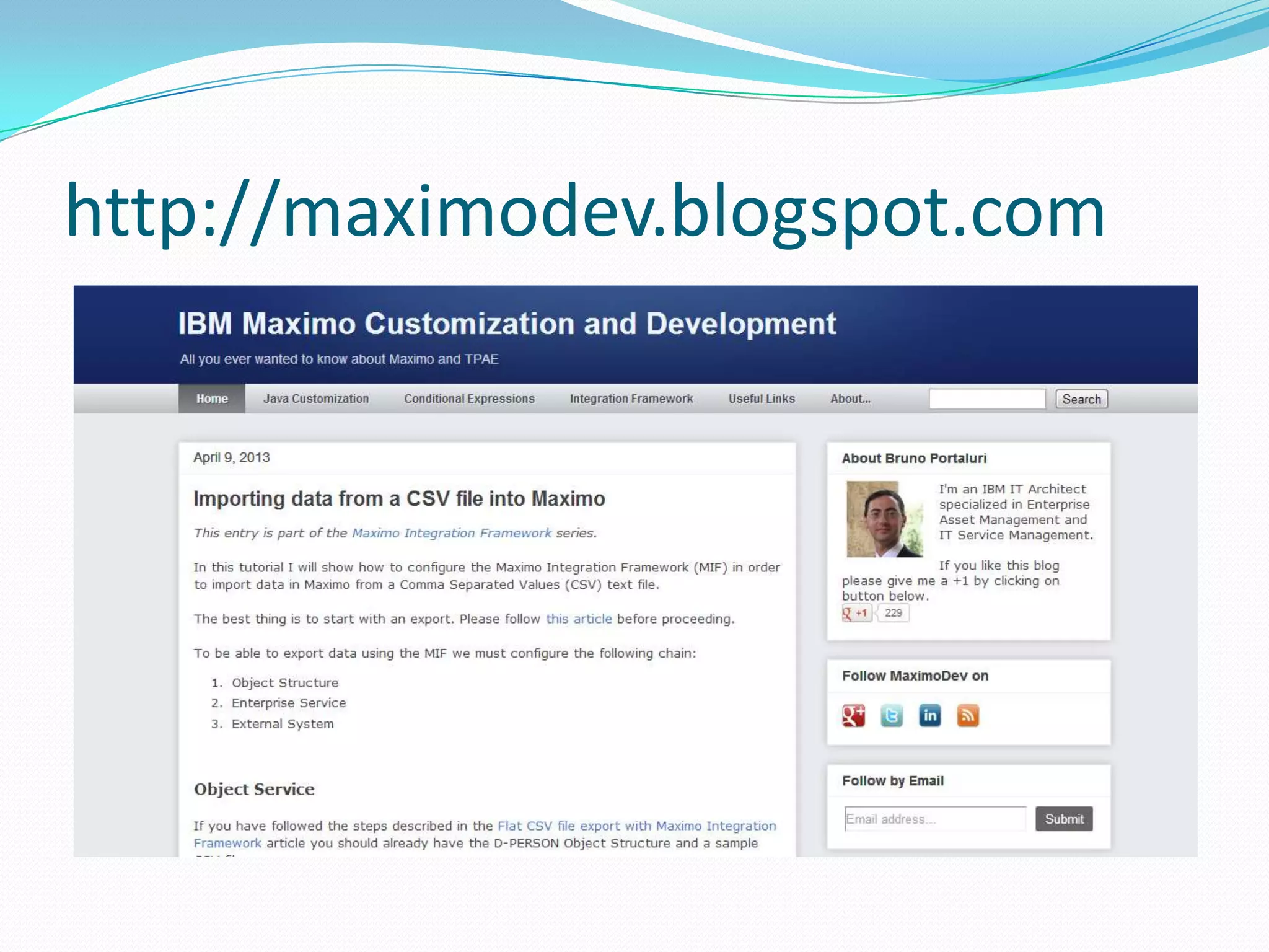 MaximoDev Blog Facts and Stats (May 2013) | PPT
