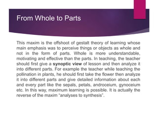 Maxim of teaching | PPTX