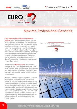 Maximo professional services | PDF