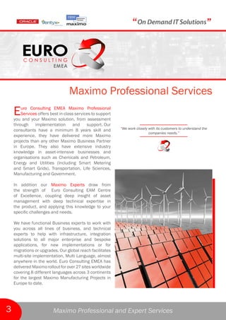 Maximo professional services | PDF