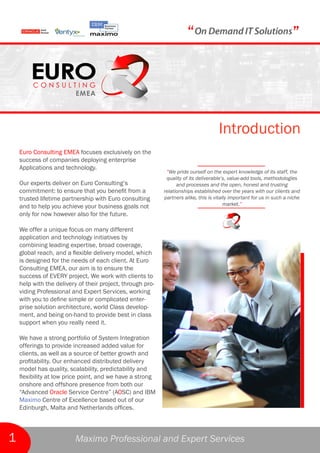 Maximo Professional Services | PDF