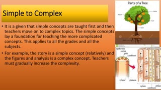 Maxims of teaching in education.pptx