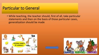 Maxims of teaching in education.pptx