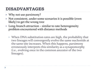 Maximum parsimony | PPT