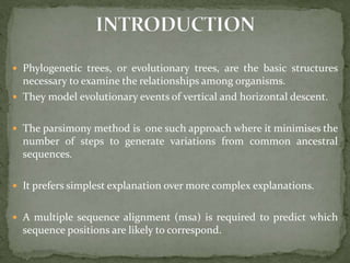Maximum parsimony | PPT