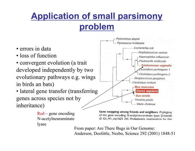 maximum parsimony.pdf