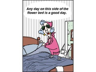 Maxine Cartoon Of The Day