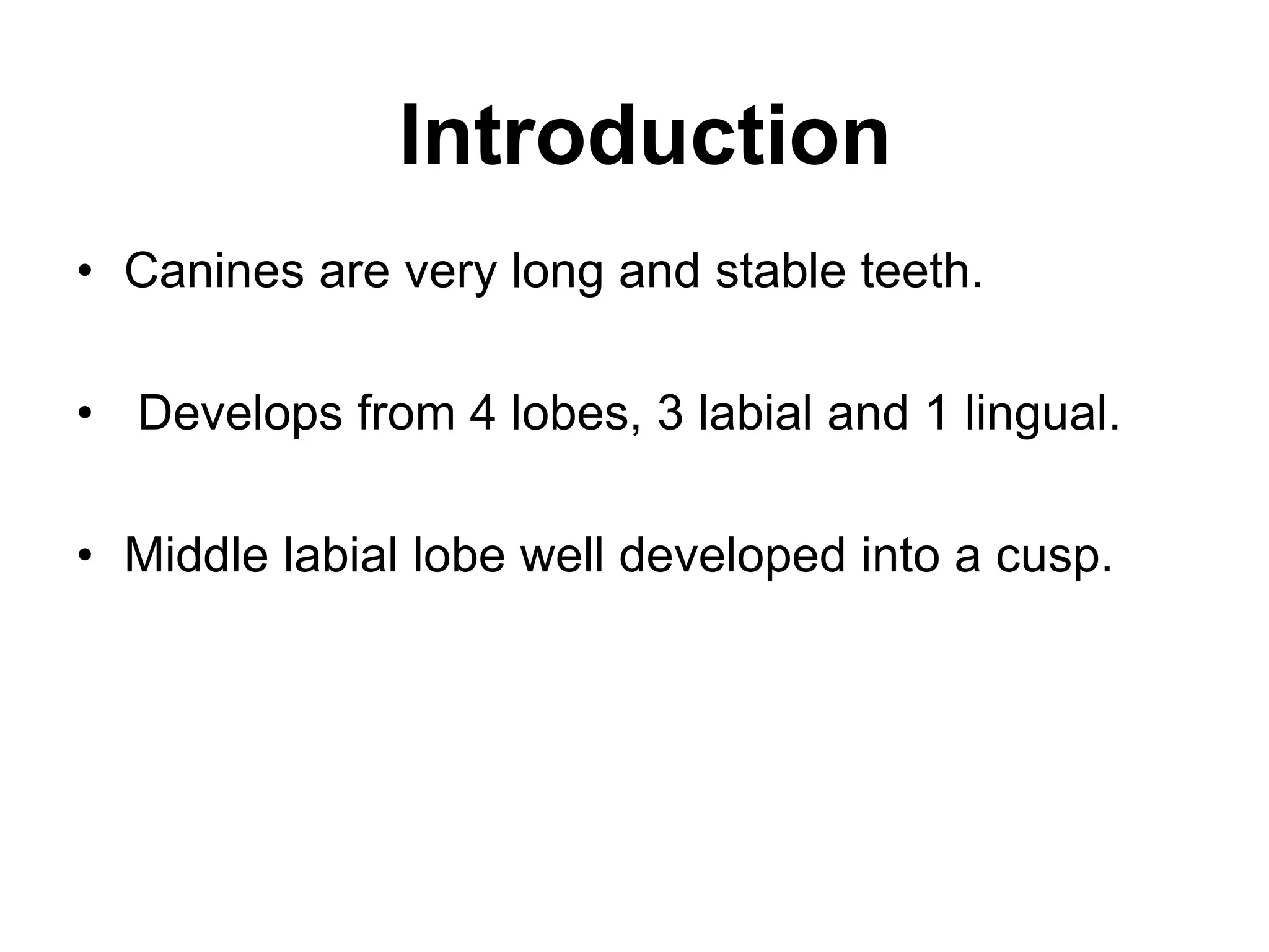Maxillary permanent canine | PPTX