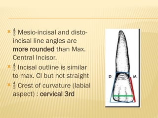Permananet maxillary central inscisor.pptx
