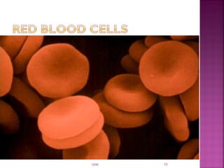 Tranexamic Acid "Maxna" (by gul nawaz khan) | PPT