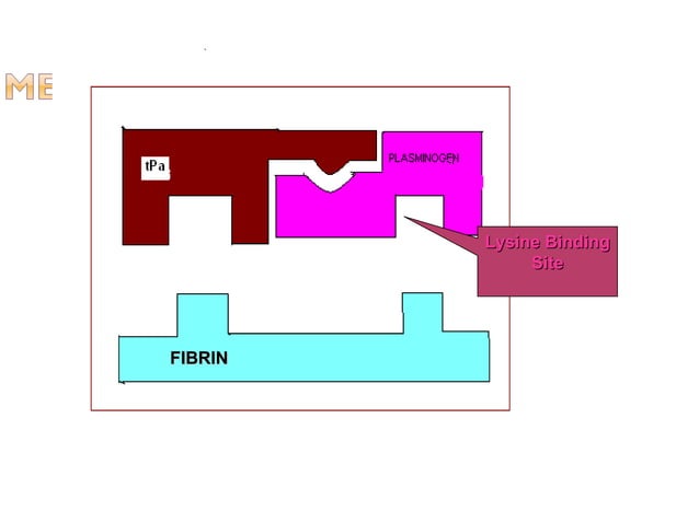 Tranexamic Acid "Maxna" (by gul nawaz khan) | PPT