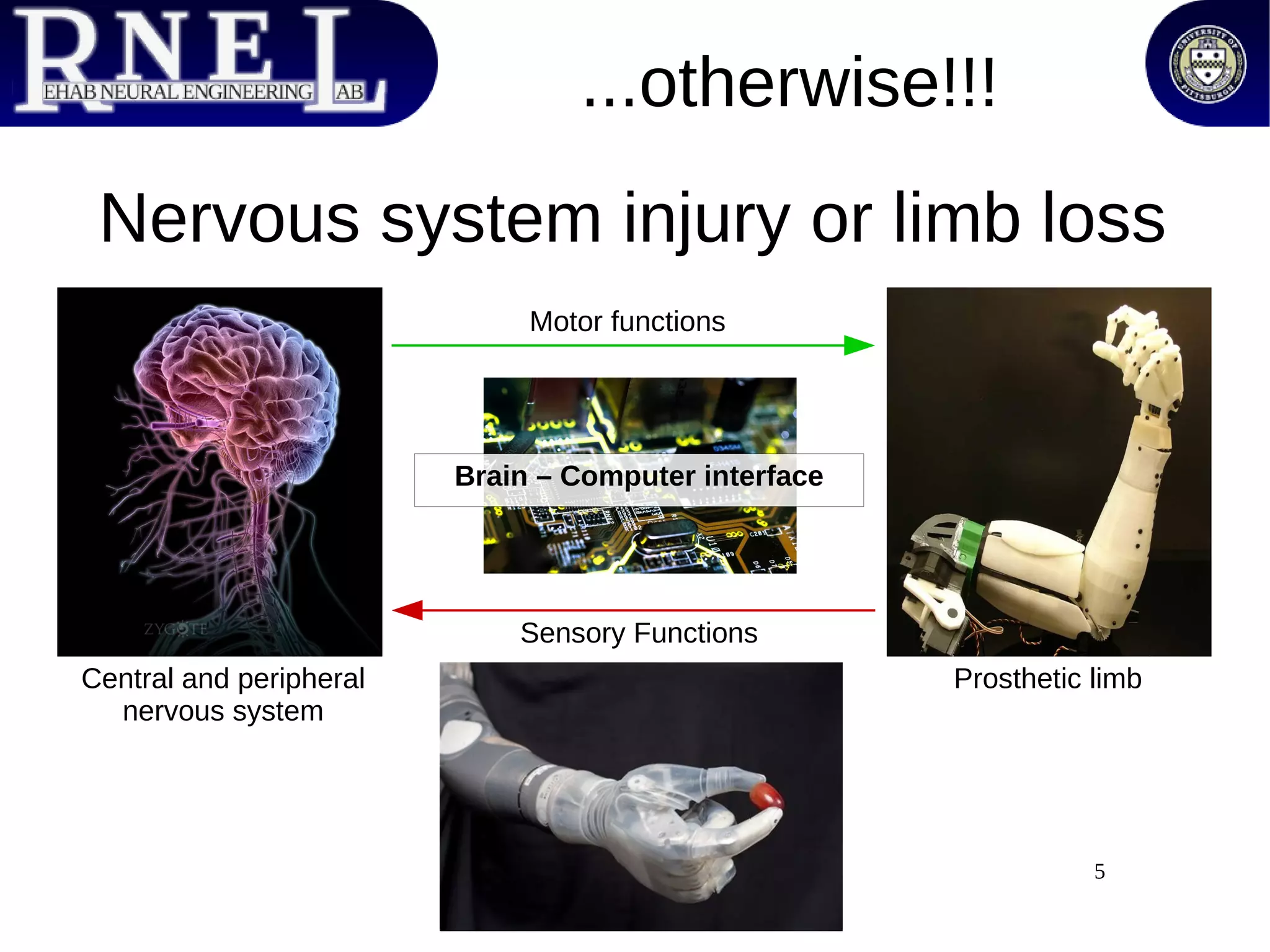 Big Data in a neurophysiology research lab… what? | PPT