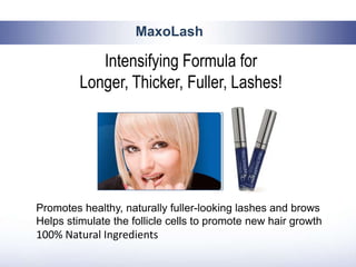 Maxolash | PPTX