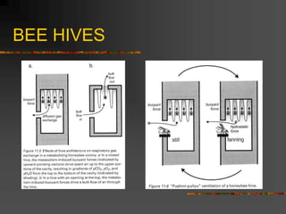 Ventilation in buildings | PPT