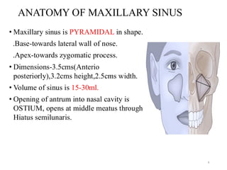 Maxillary sinus anatomy and sinus agumentation | PDF