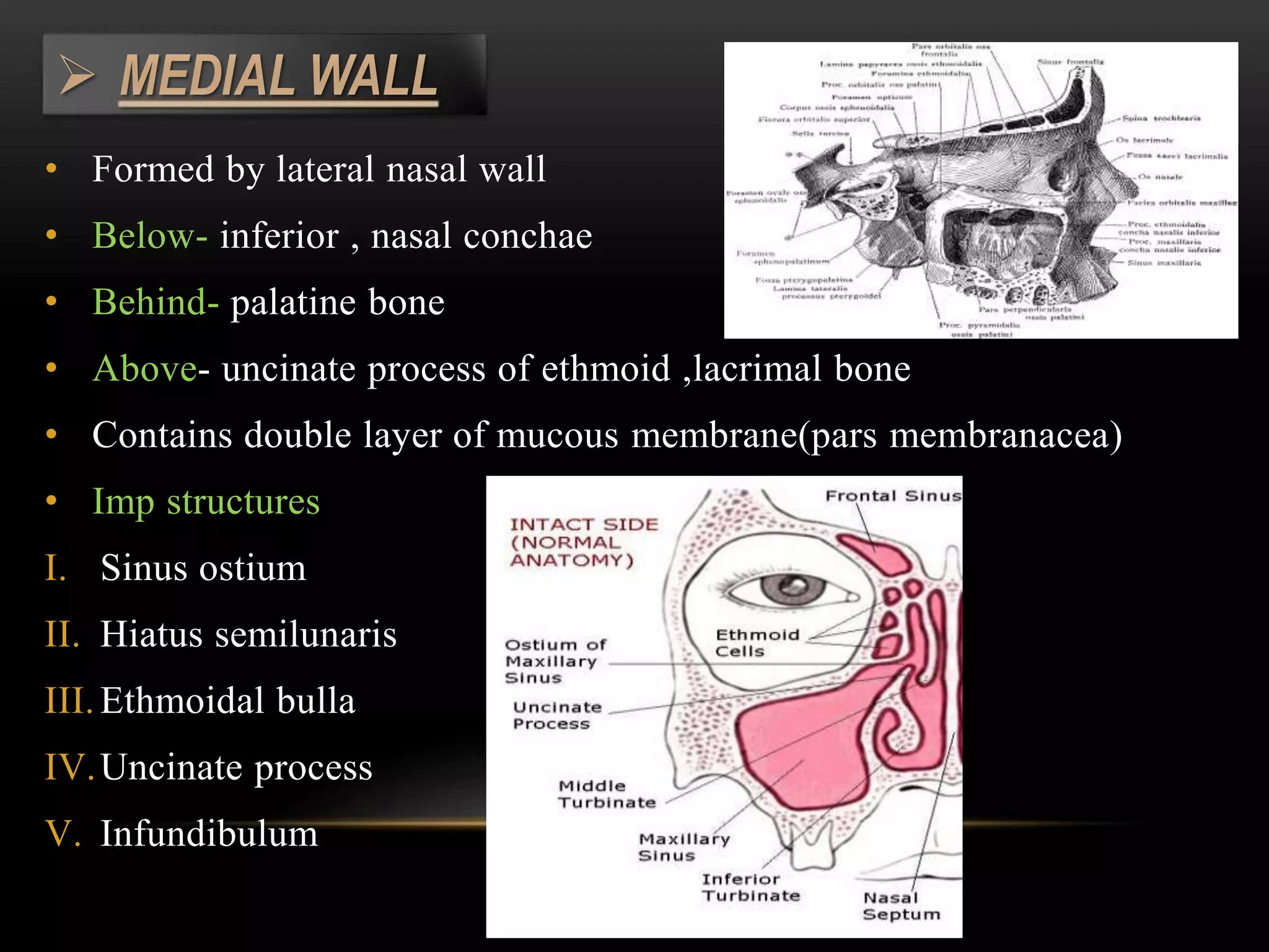 Maxillary sinus sinus | PPTX