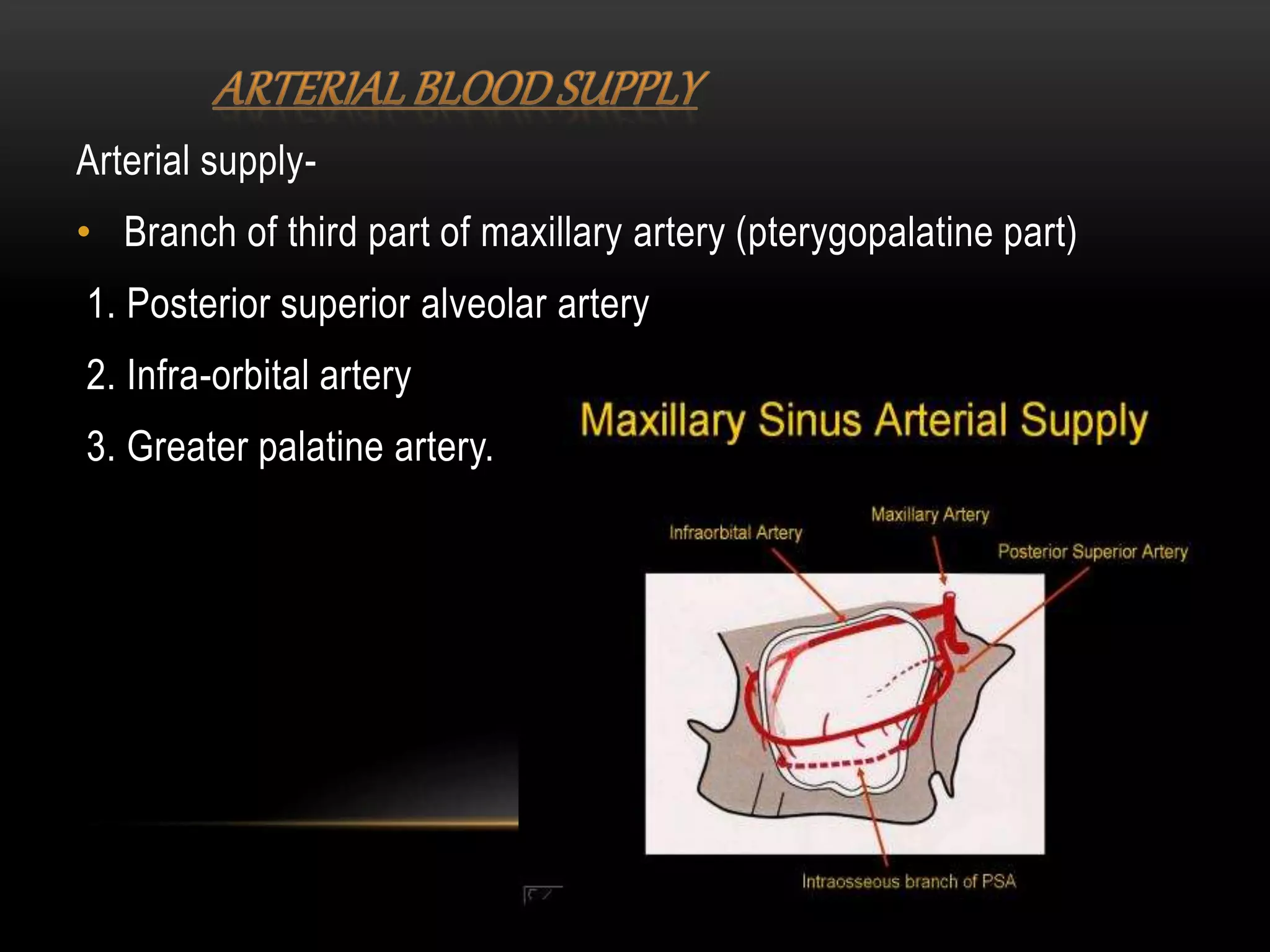 Maxillary sinus sinus | PPTX