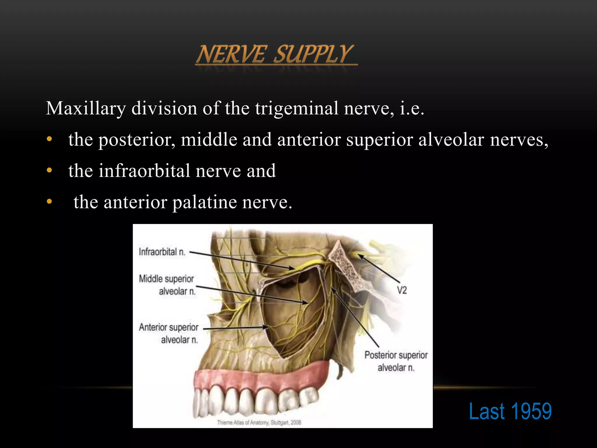 Maxillary sinus sinus | PPTX