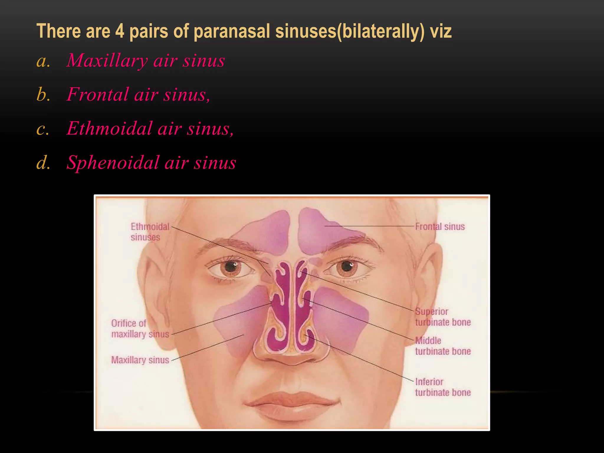 Maxillary sinus sinus | PPTX