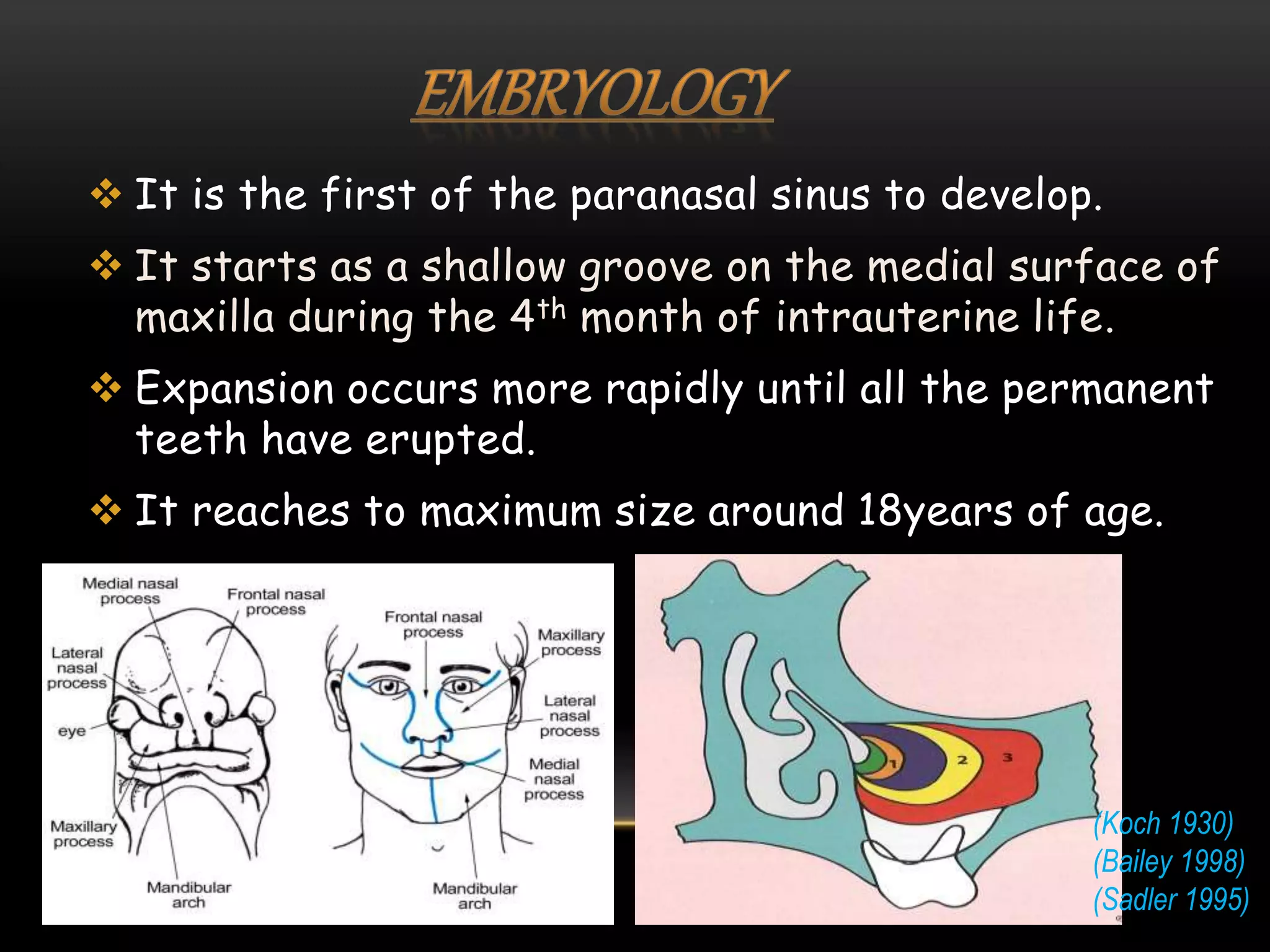 Maxillary sinus sinus | PPTX