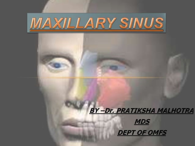 Maxillary sinus sinus | PPTX