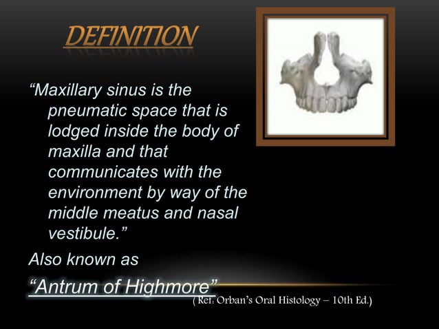 Maxillary sinus sinus | PPTX