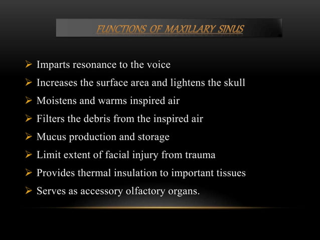 Maxillary sinus sinus | PPTX