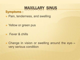 Max sinus smitha | PPTX | Ear, Nose and Throat Conditions | Diseases ...