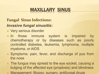 Max sinus smitha | PPTX | Ear, Nose and Throat Conditions | Diseases ...
