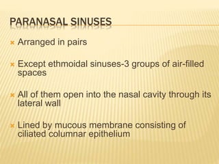 Max sinus smitha | PPTX | Ear, Nose and Throat Conditions | Diseases ...