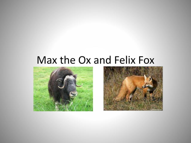 Max the ox and felix fox | PPT