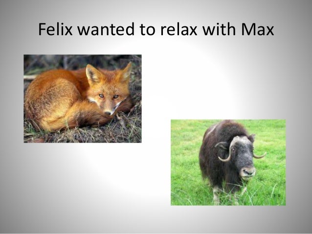 Max The Ox And Felix Fox