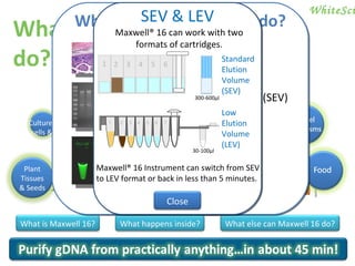 Maxwell 16 Interactive Compressed | PPS
