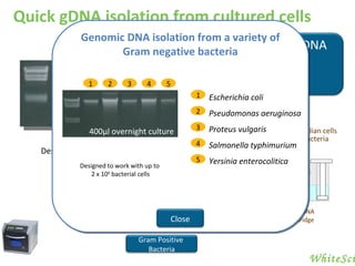 Maxwell 16 Interactive Compressed | PPT