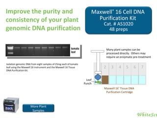 Maxwell 16 Interactive Compressed | PPT
