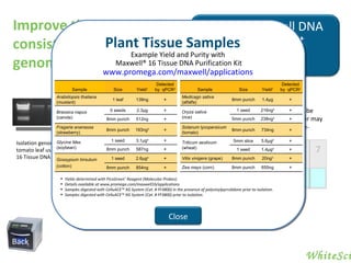 Maxwell 16 Interactive Compressed | PPT