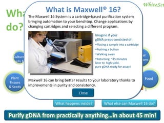 Maxwell 16 Interactive Compressed | PPT
