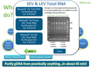 Maxwell 16 Interactive Compressed | PPT