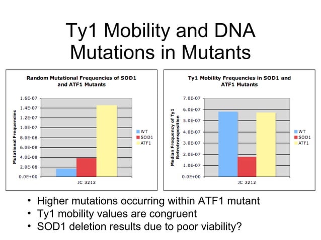 Maxwell Rotation Presentation | PPT