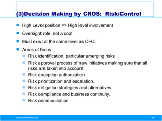 Role of a Chief Risk Officer | PDF