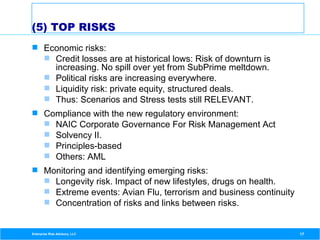 Role of a Chief Risk Officer | PPT