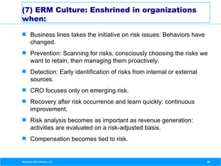 Role of a Chief Risk Officer | PPT