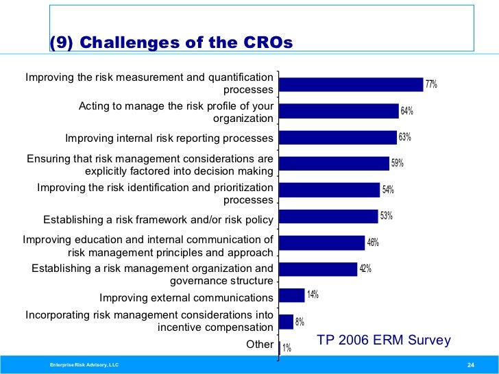 Role of a Chief Risk Officer